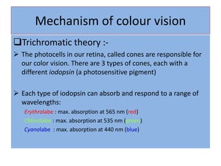 Colour vision with lvm | PPTX