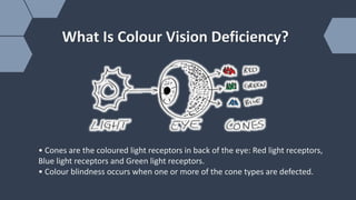 Colour Vison Deficency (CVD) | PPT