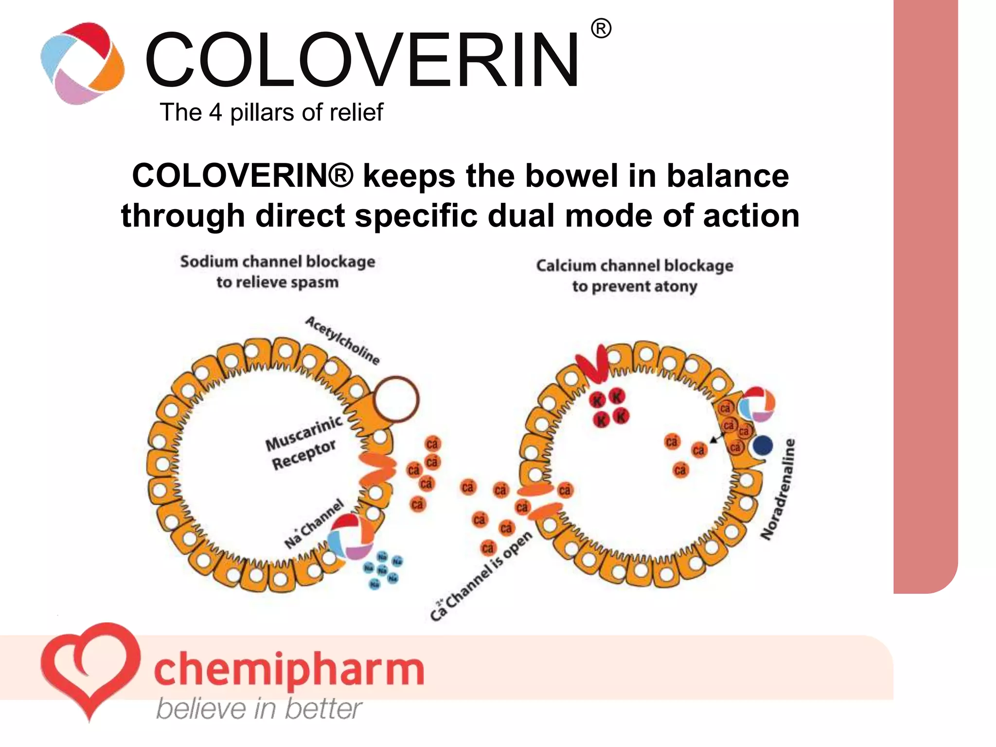 Coloverin slide share 2 | PPTX