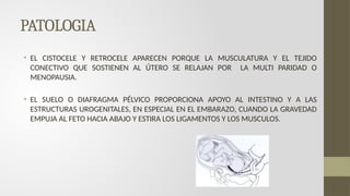 TECNICA QUIRURGICA DE COLPOPERINEOPLASTIA.pptx