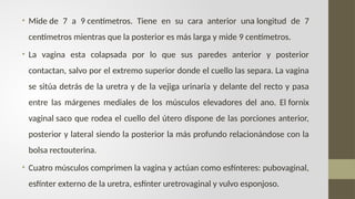 TECNICA QUIRURGICA DE COLPOPERINEOPLASTIA.pptx