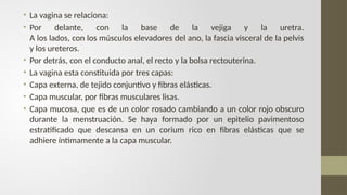 TECNICA QUIRURGICA DE COLPOPERINEOPLASTIA.pptx