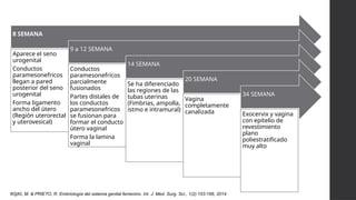 colposcopia de cervix como examen de tamizaje | PPTX