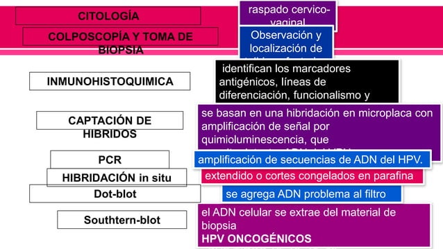 Colposcopia | PPTX | Genetics | Science