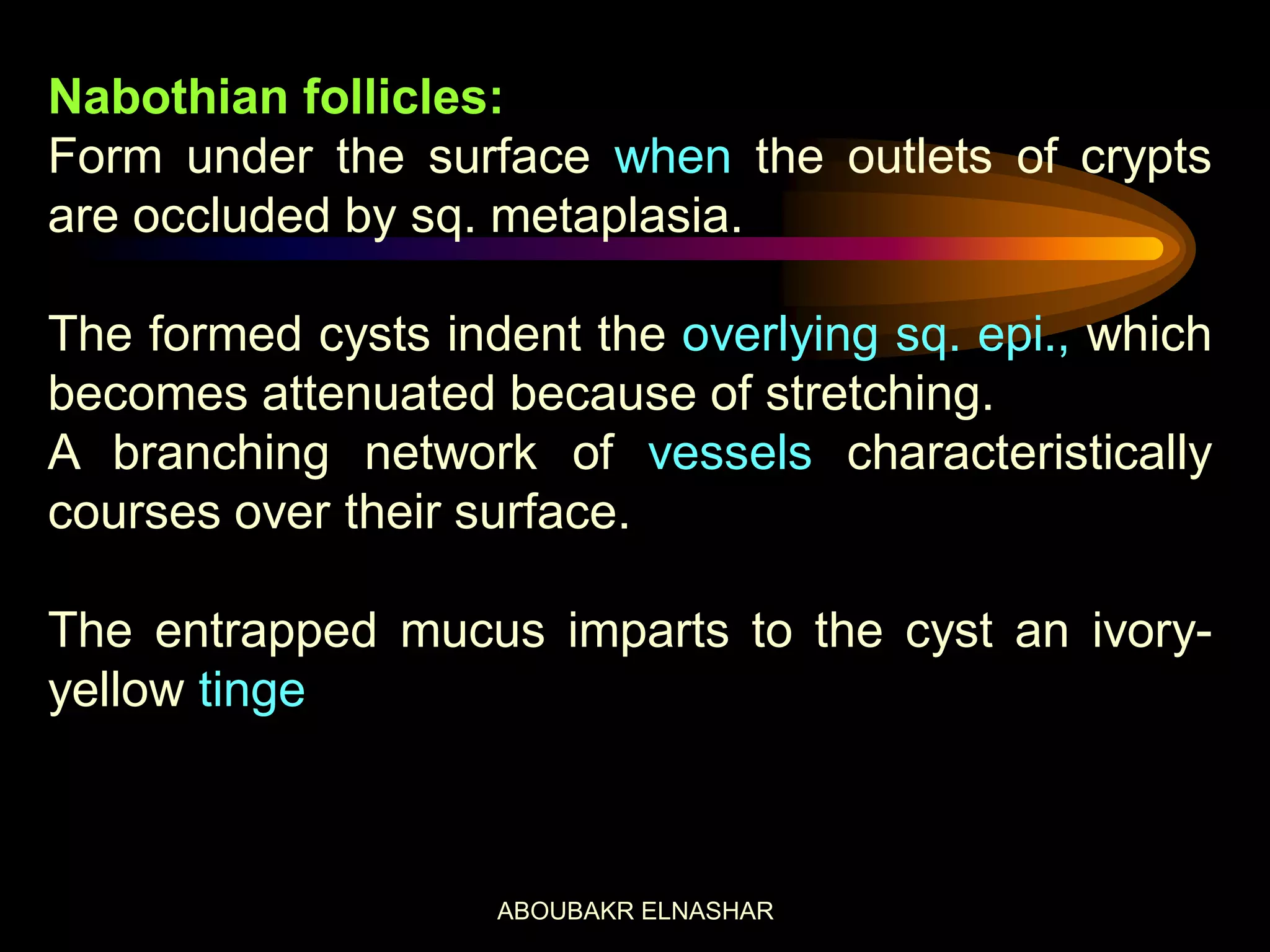 Normal colposcopic Findings | PDF
