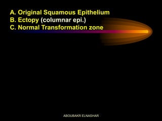 Normal colposcopic Findings | PDF