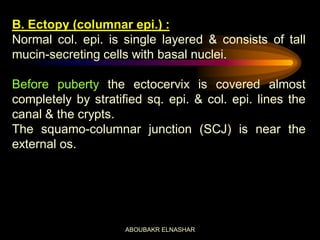 Normal colposcopic Findings | PDF