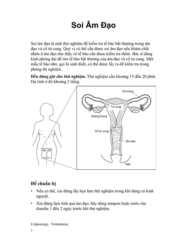 Colposcopy dich thuat phien dich cnn | PDF