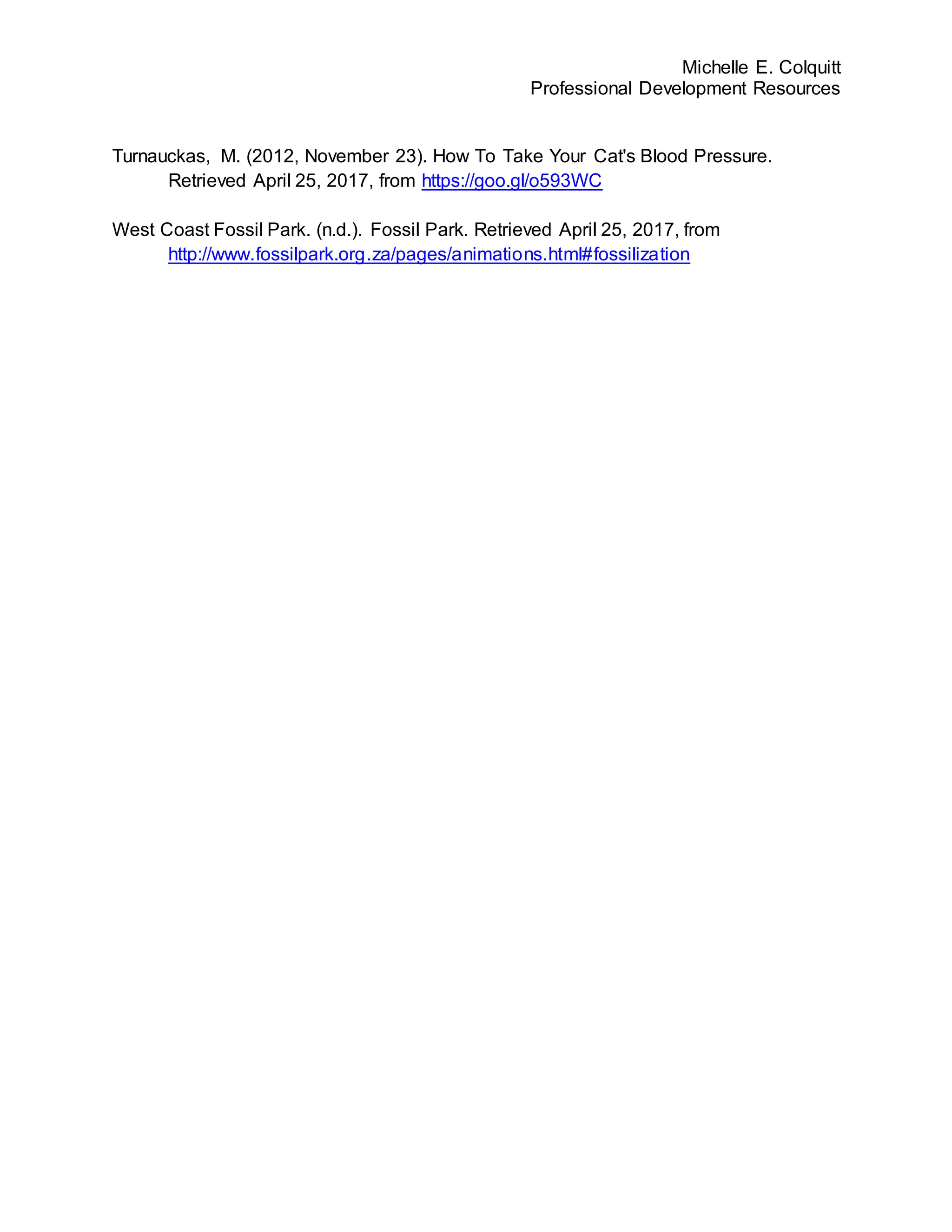 Professional Development Website Resources | DOCX