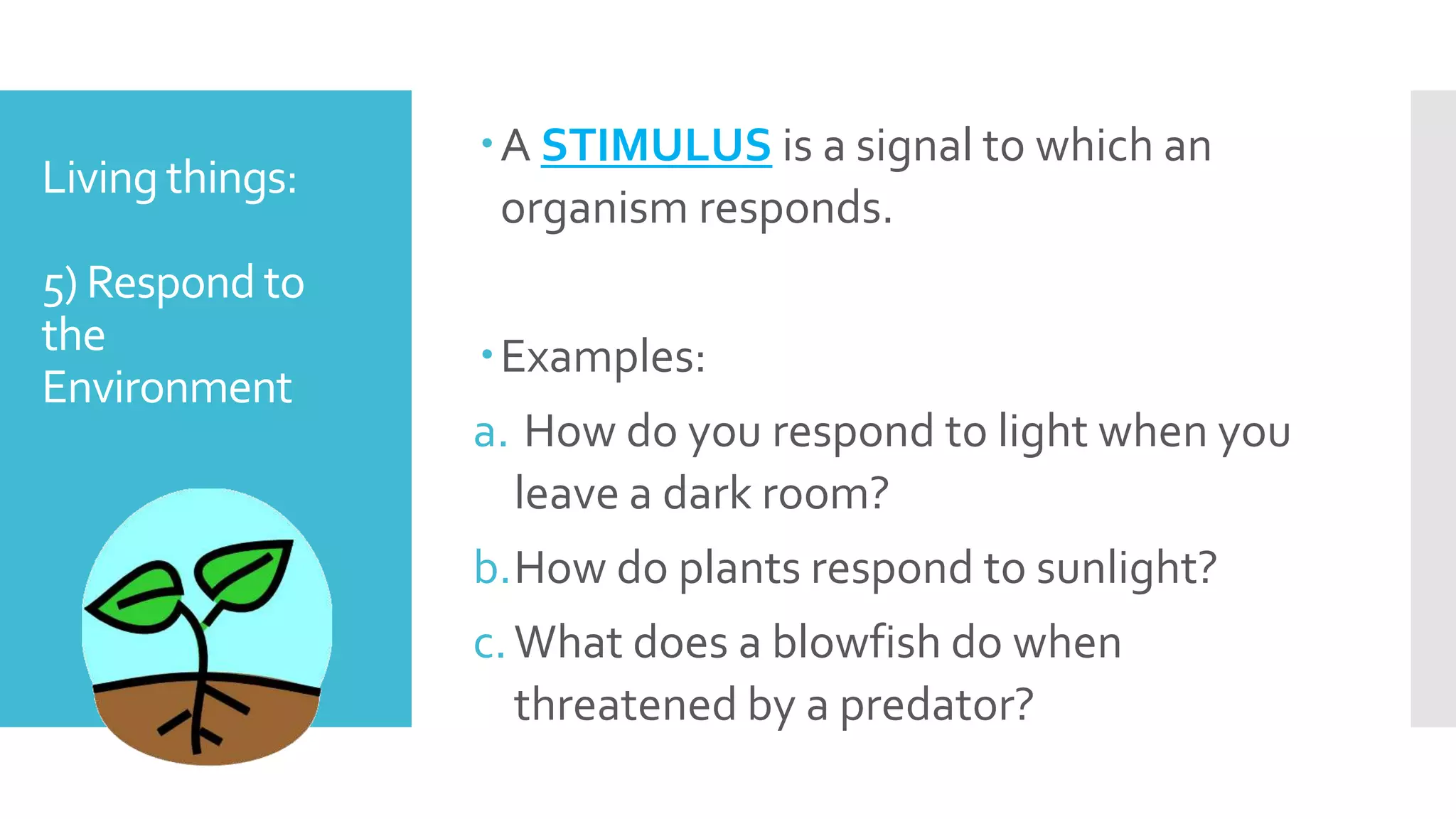 Characteristics of Life Notes Powerpoint | PPTX