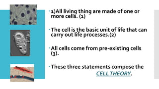 Characteristics of Life Notes Powerpoint | PPTX