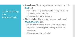 Characteristics of Life Notes Powerpoint | PPTX