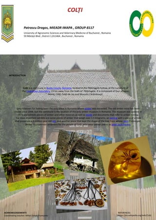 Colti | PPTX