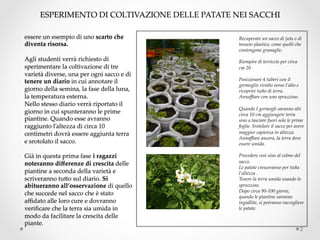 Coltivazione patate nei sacchi | PDF