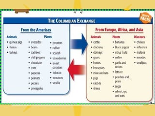 Columbian Exchange Powerpoint | PPT