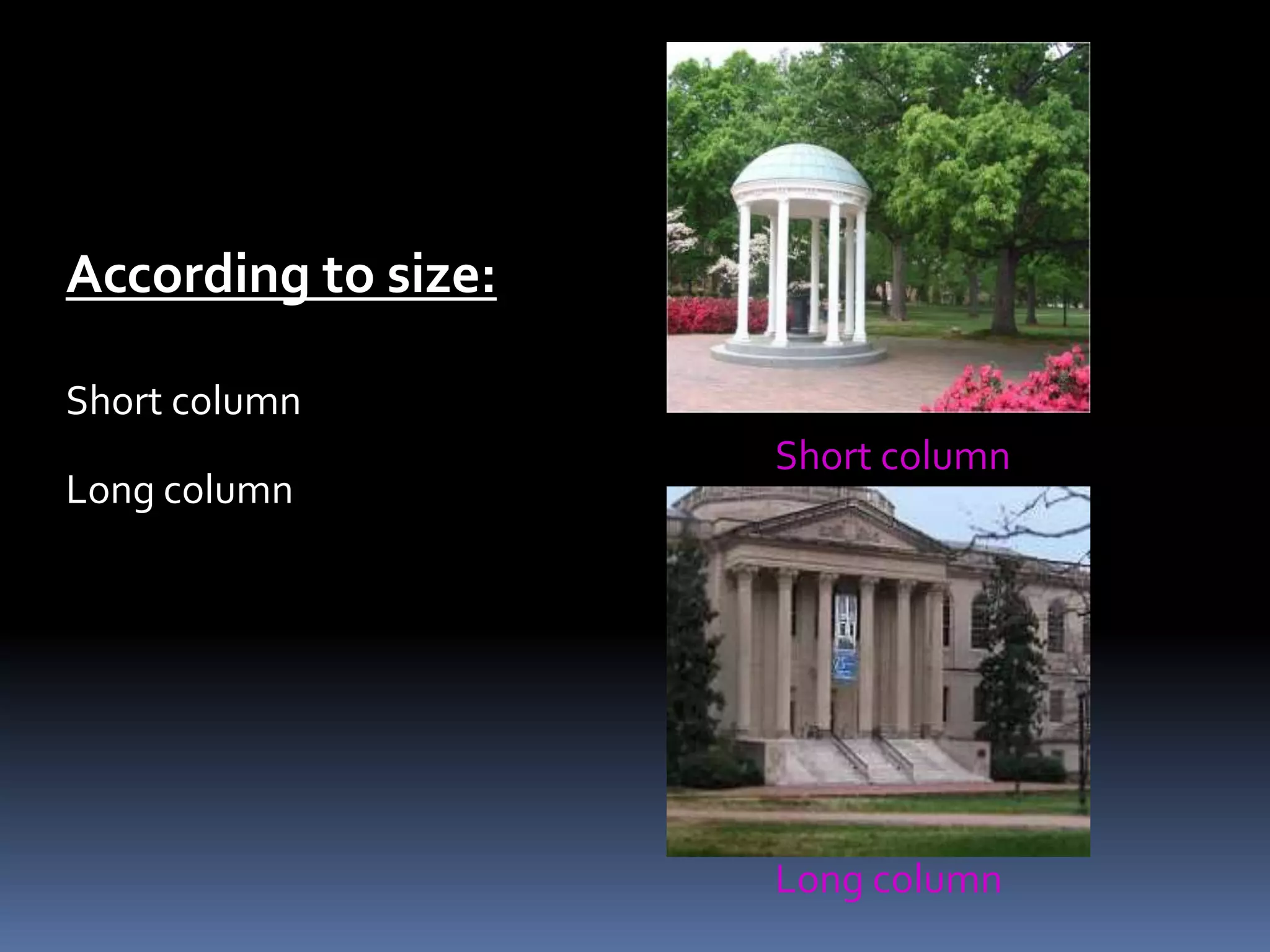 Column | PPT