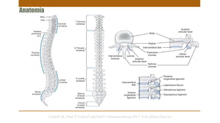 COLUMNA.pptx