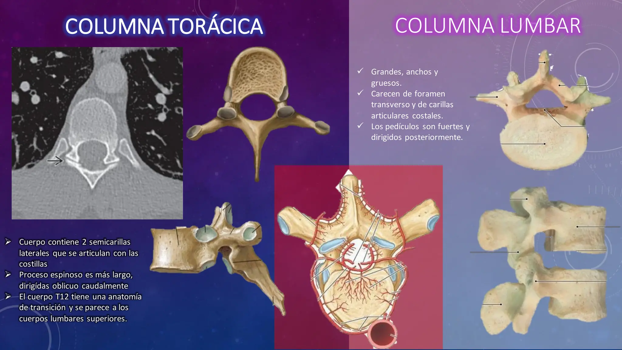 Valoracion de la columna toracica y lumbar.pdf