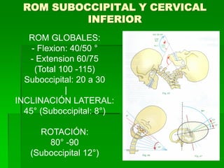 Esta es la biomecánica de la Columna.pdf