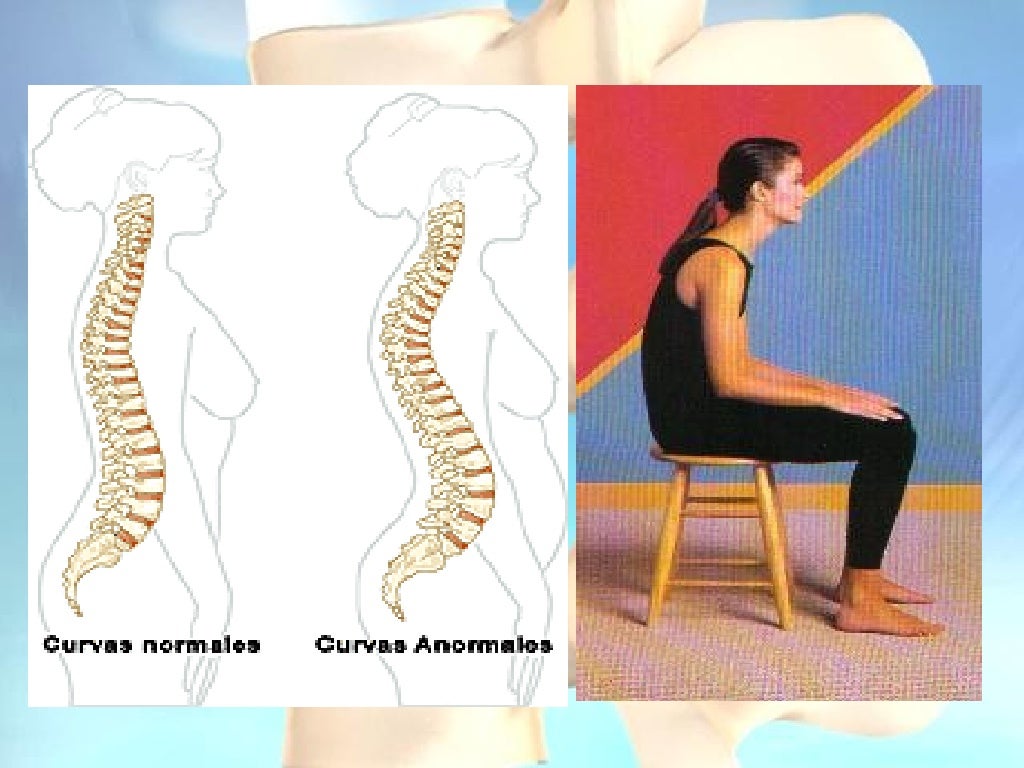 Estructura Y Funciones De La Columna Vertebral