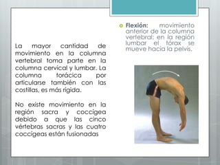 columna FundFactoresHumanos | PPTX