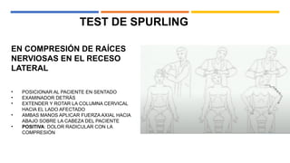 ANATOMIA DE COLUMNA CERVICAL............ | PPTX
