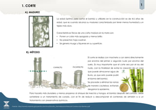 CONSTRUCCIONES DE COLUMNAS CON BAMBÚ.pdf