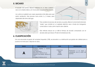CONSTRUCCIONES DE COLUMNAS CON BAMBÚ.pdf