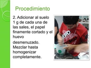 Columna de winogradsky | PPTX
