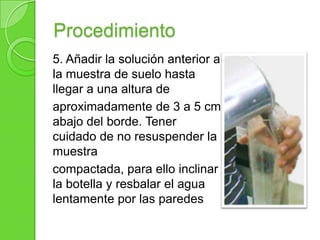 Columna de winogradsky | PPTX