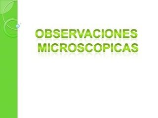 Columna de winogradsky | PPTX