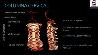 columna vertebral | PDF