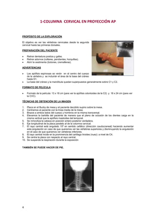 Columna vertebral | DOCX