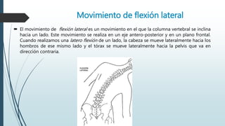 Columna vertebral | PPTX