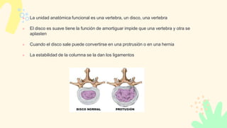 columna vertebral.pptx