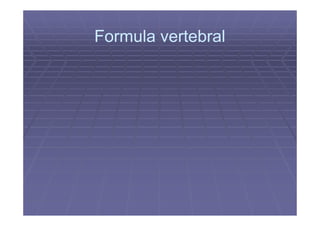 Columna vertebral de los animales domésticos.pdf