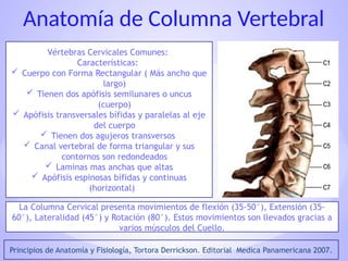 columna vertebral anatomia anestesia.pptx