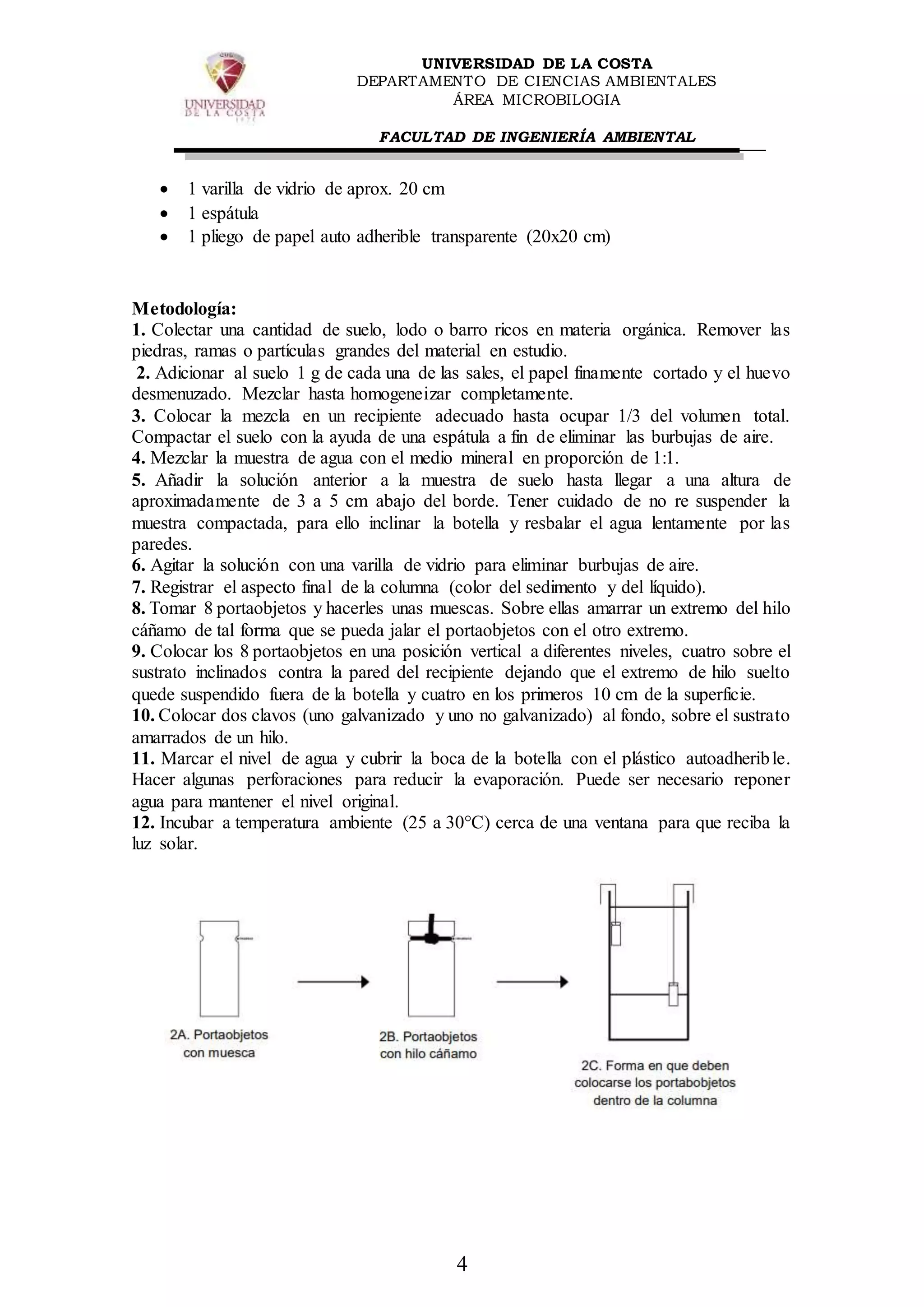 Columna winogradsky | PDF