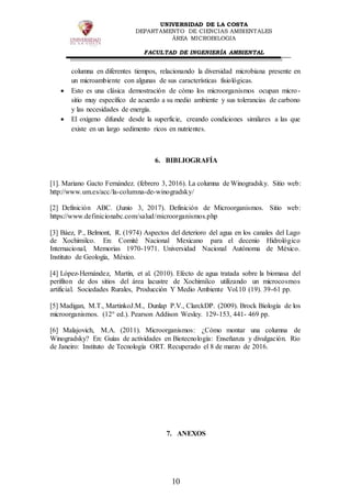 Columna winogradsky | DOCX