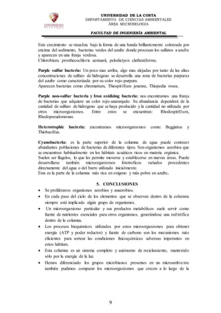 Columna winogradsky | DOCX