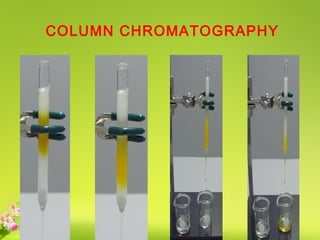 Column Chromatography ppt | PPT