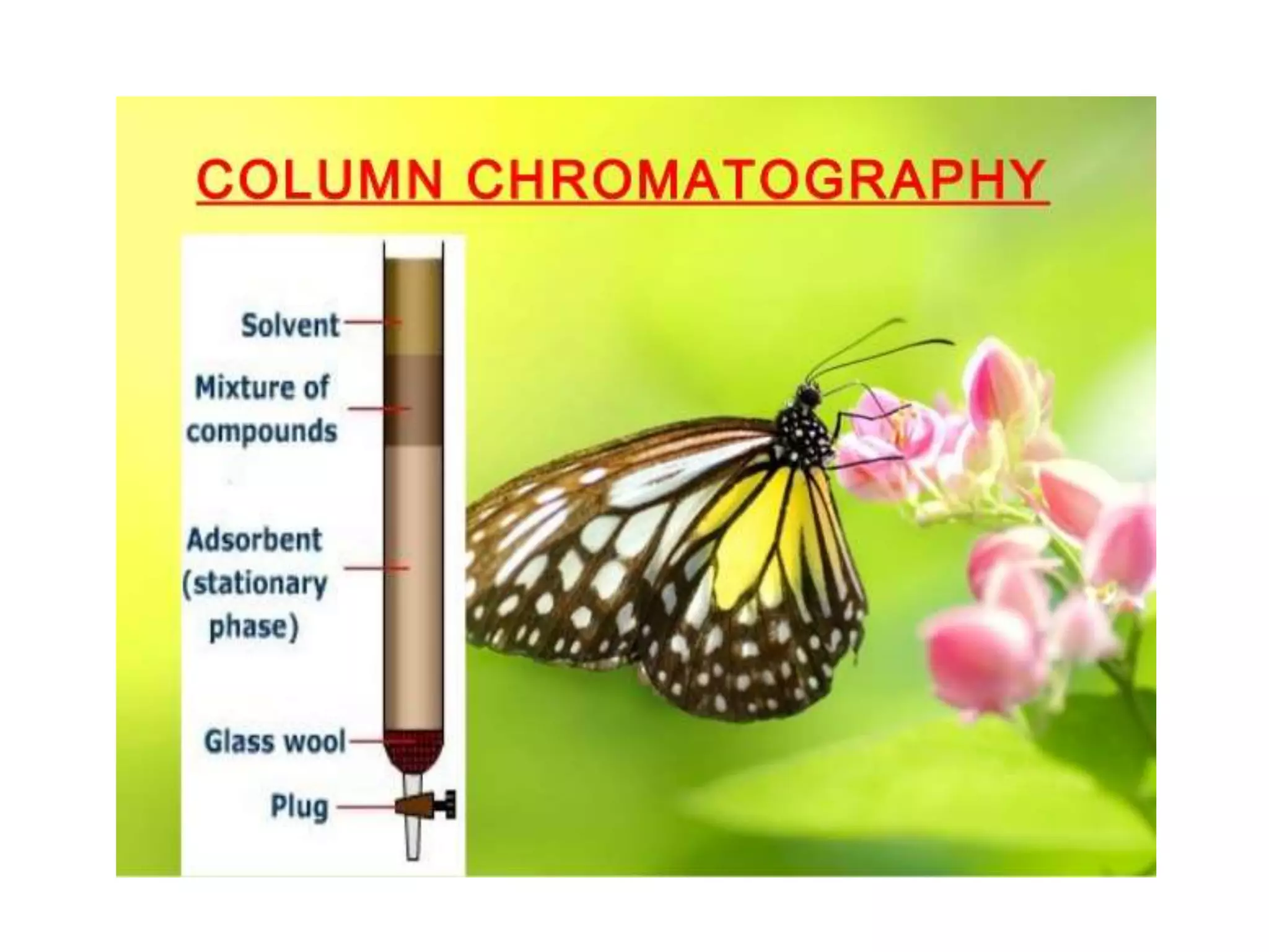 Column chromatography | PPT