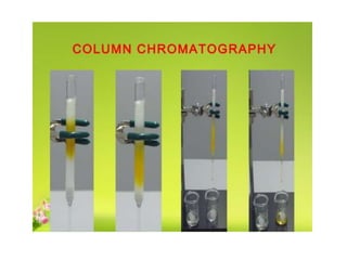 Column chromatography | PPTX
