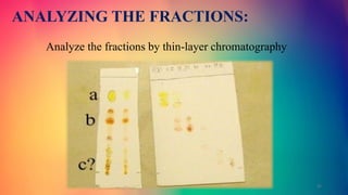 Column Chromatography | PDF