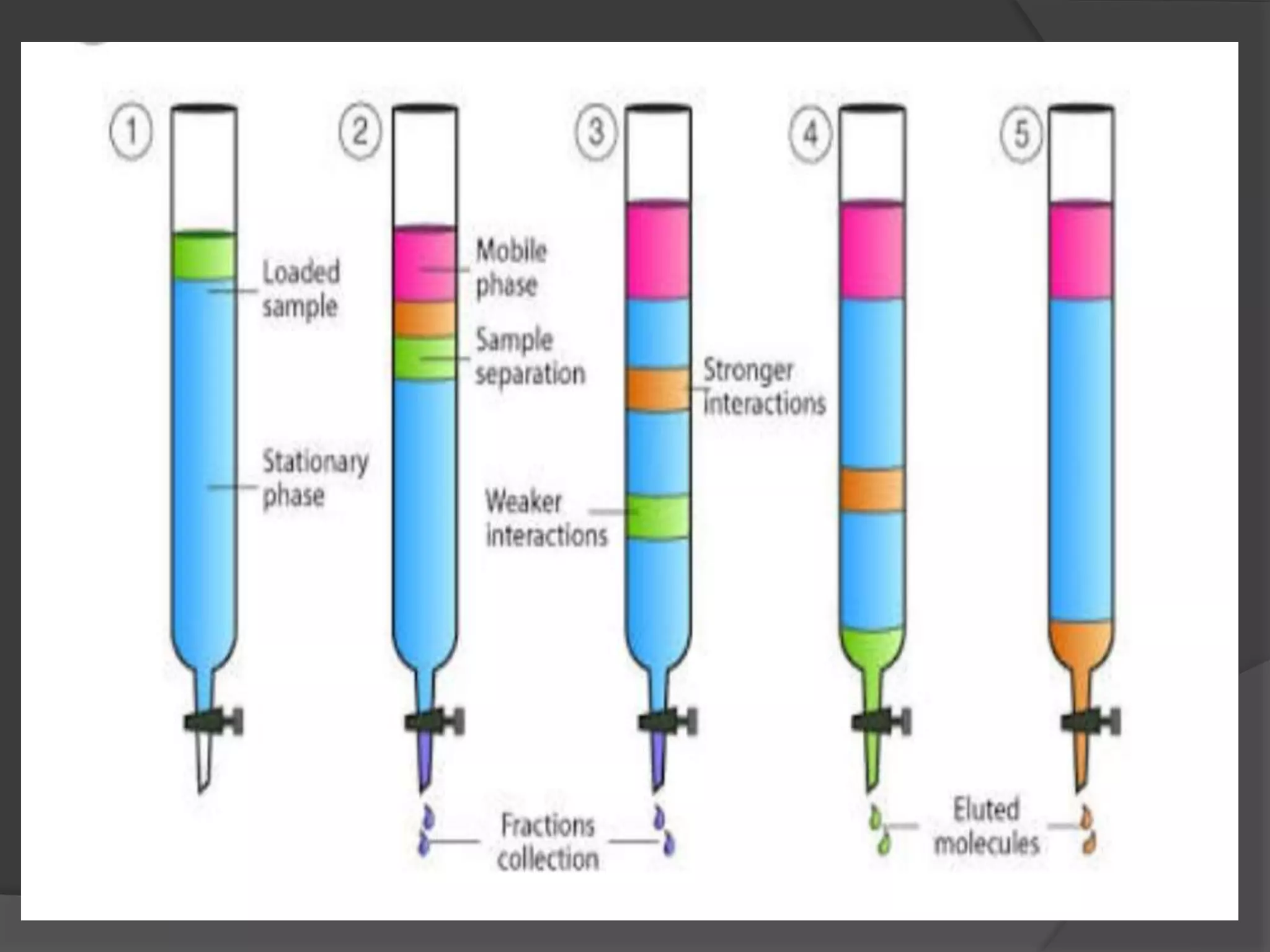 Column chromatography | PPTX