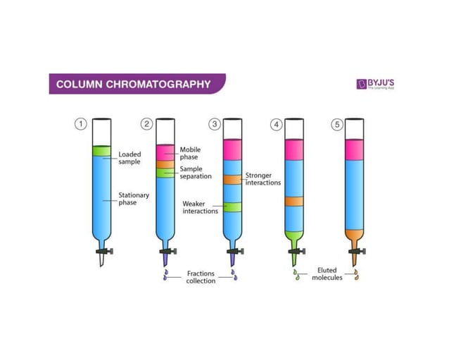 Column chromatography.pptx