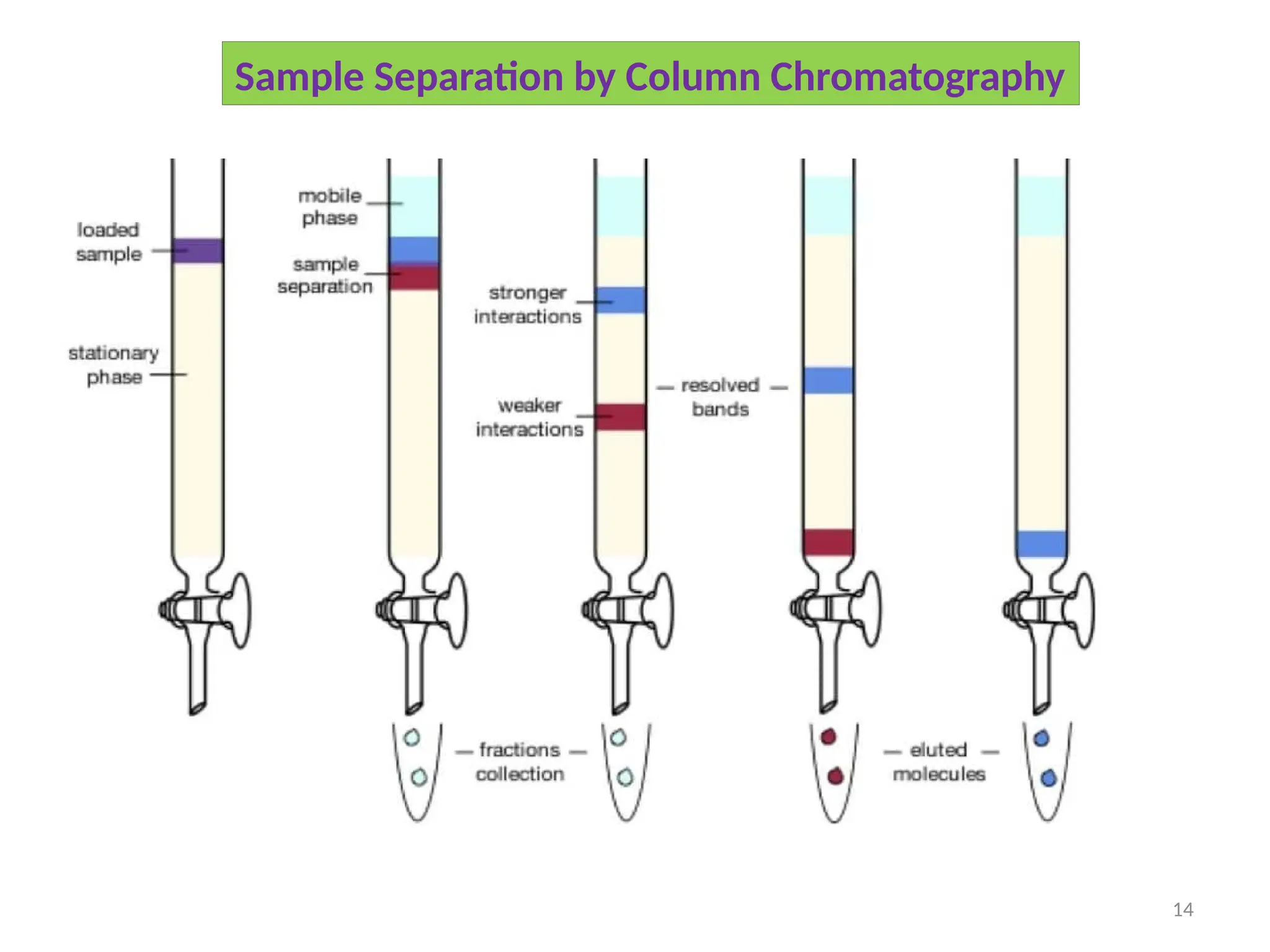 Column Chromatography principle and applications.pptx