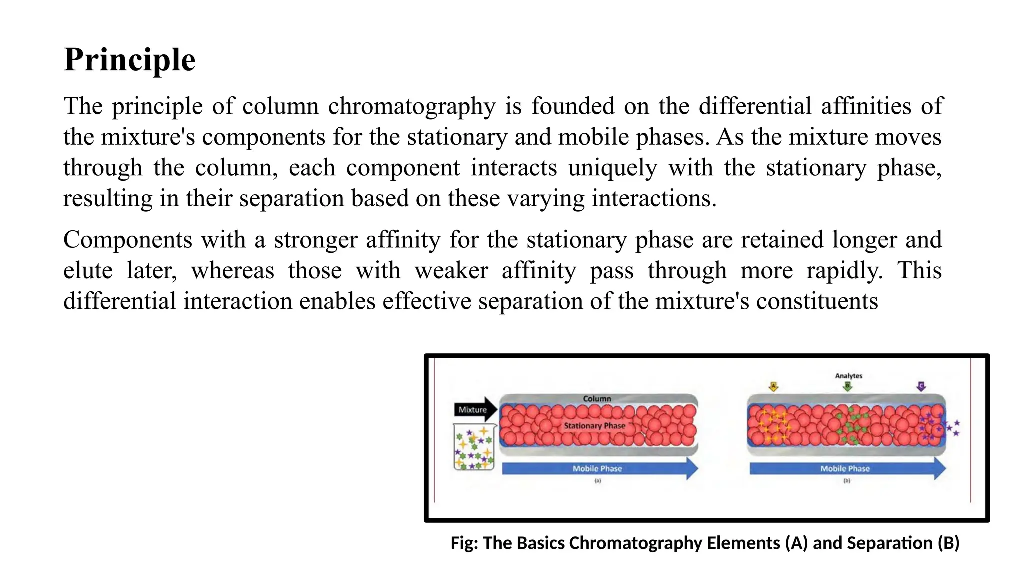 Column Chromatography Explained: Adsorption & Partition Types ...