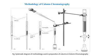 Column Chromatography Explained: Adsorption & Partition Types ...