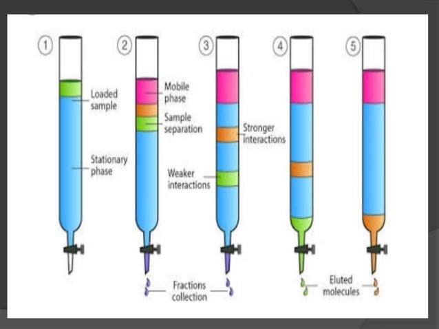 column chromatography ppt.pptx